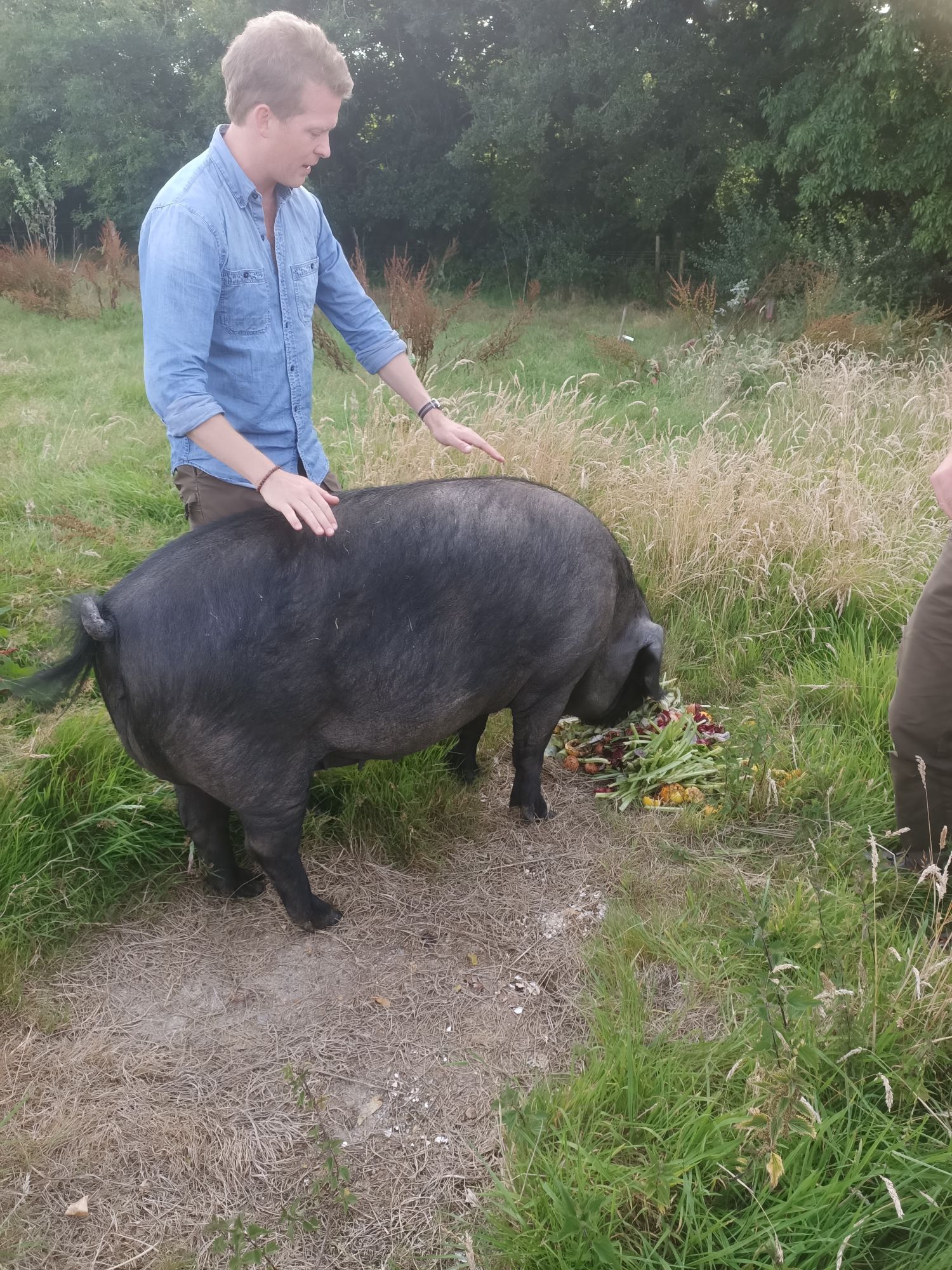 Temperate Rainforests and Ancient Woodlands: a visit to Cabilla – # ...